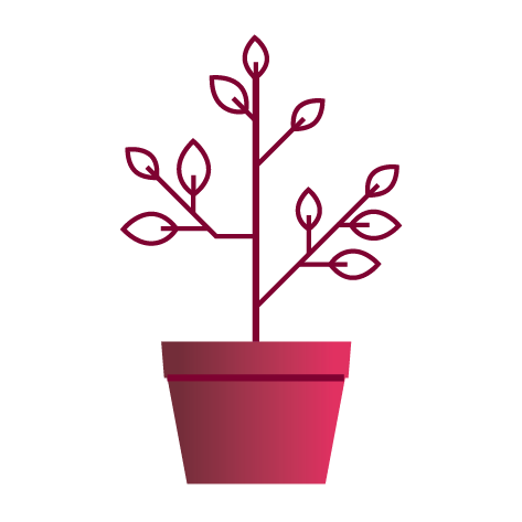 beetroot - IT-Strategie